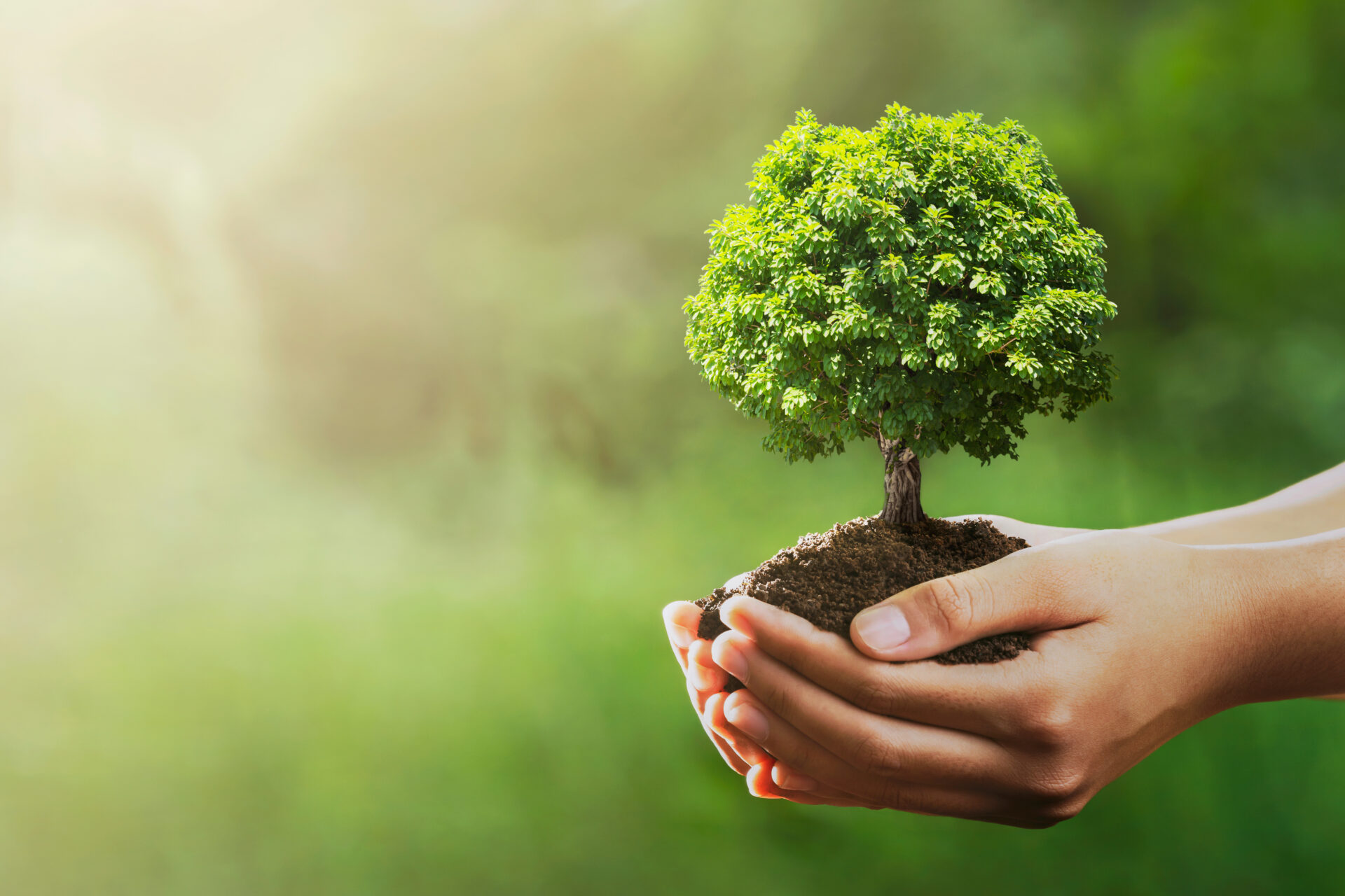 Sustainable Investing | Robert G. Eccles
