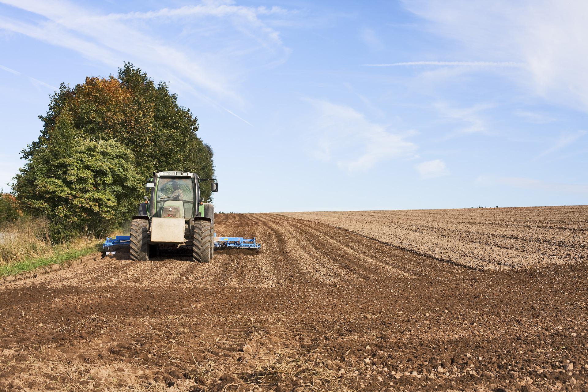 Special Edition on the “White Paper” and Carbon Reporting | Robert Eccles